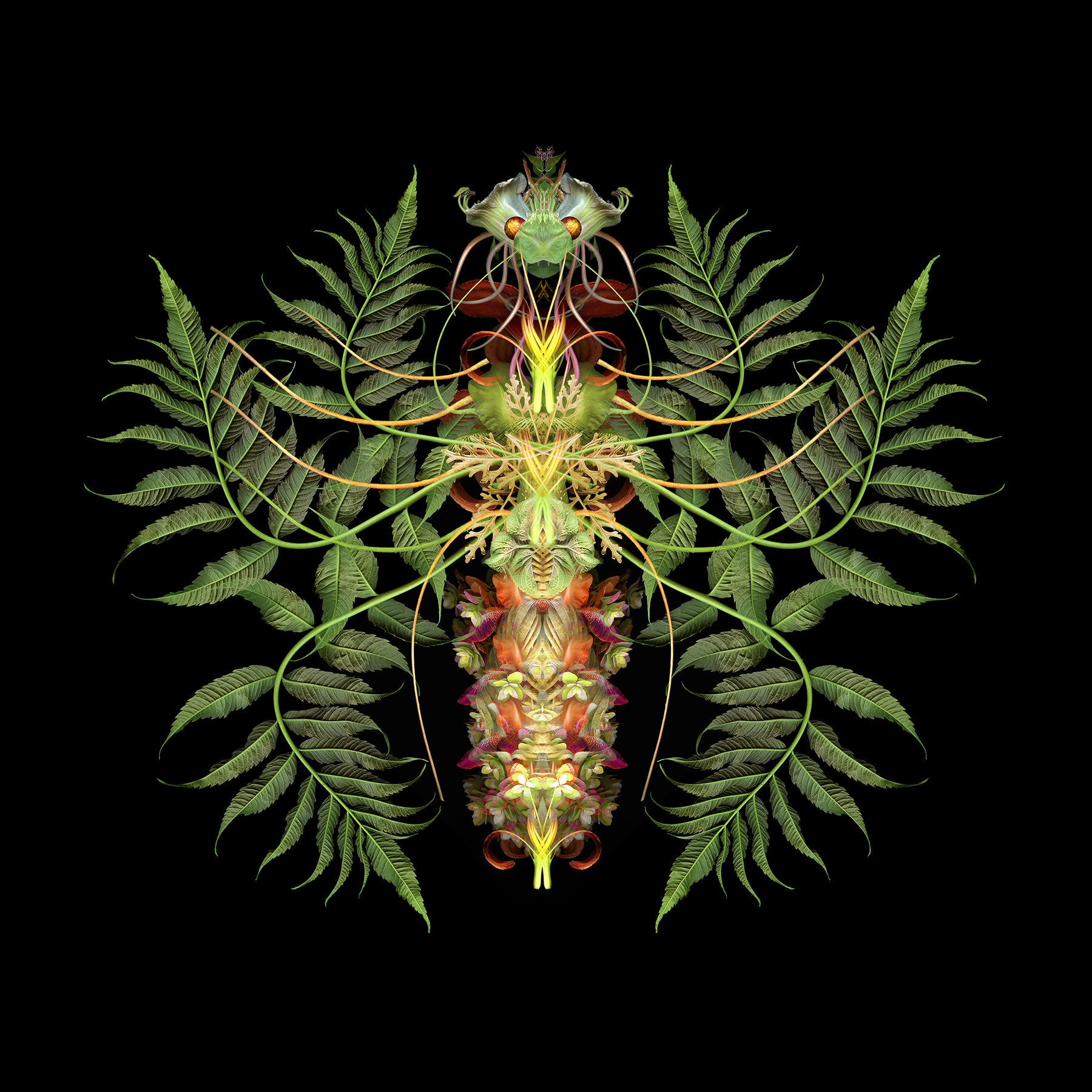 Fine Line Creative Arts Center – Fine Line Art